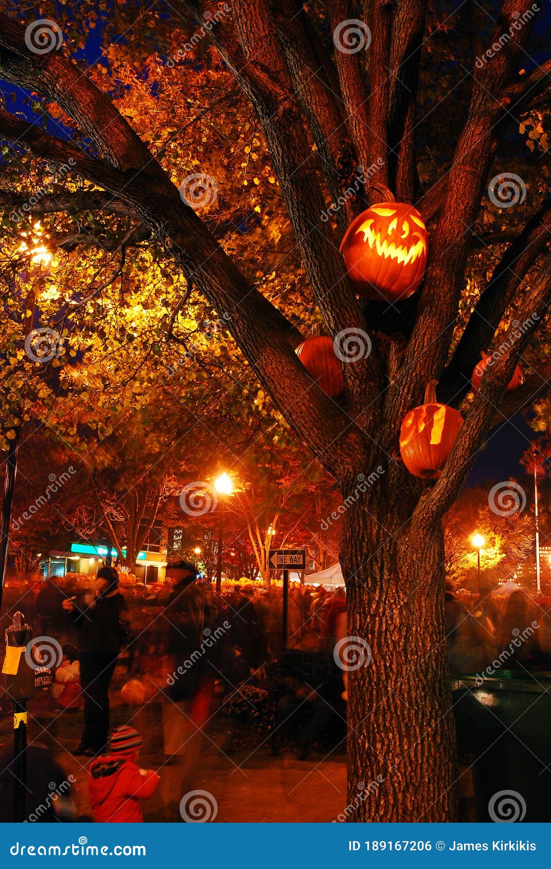 Lighted pumpkins in a tree editorial photo. Image of halloween - 189167206