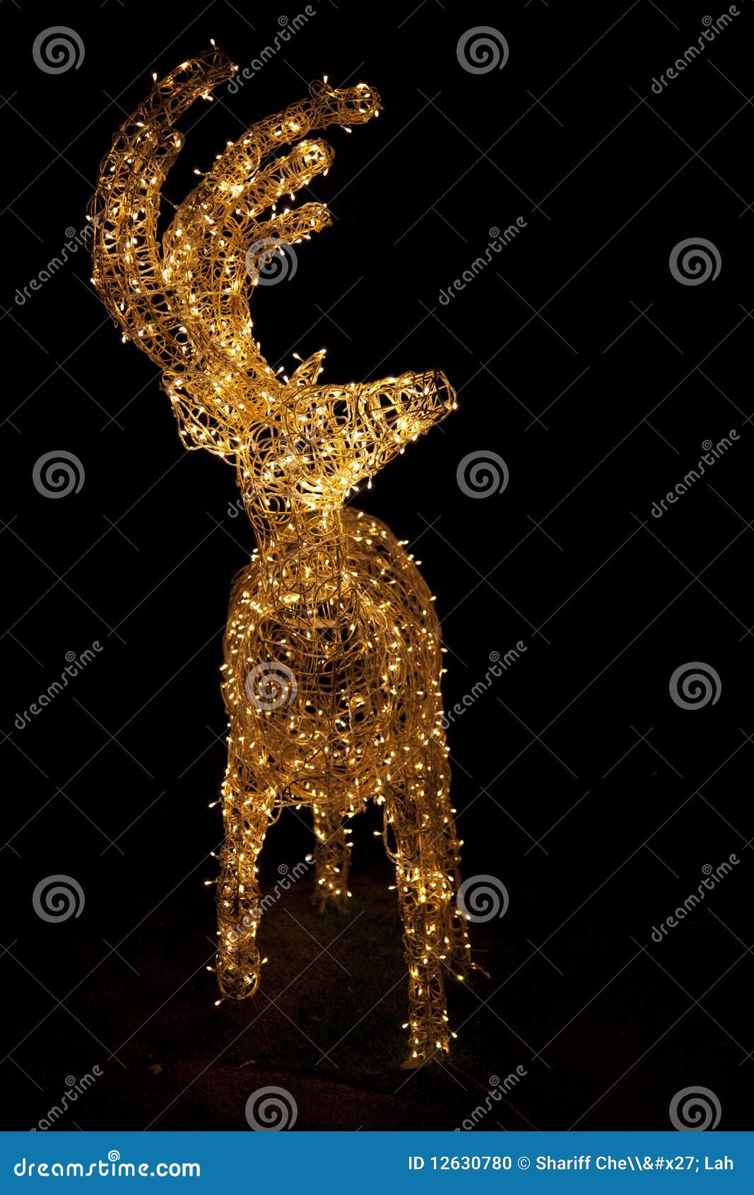 Lighted Reindeers for Christmas Stock Photo - Image of celebration ...