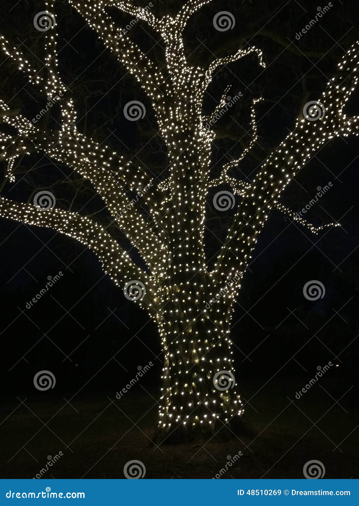 Lighted tree stock image. Image of bulbs, thousands, gardens - 48510269