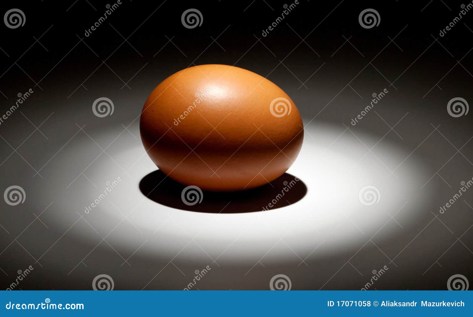 Lightened egg in the dark stock photo. Image of groceries - 17071058