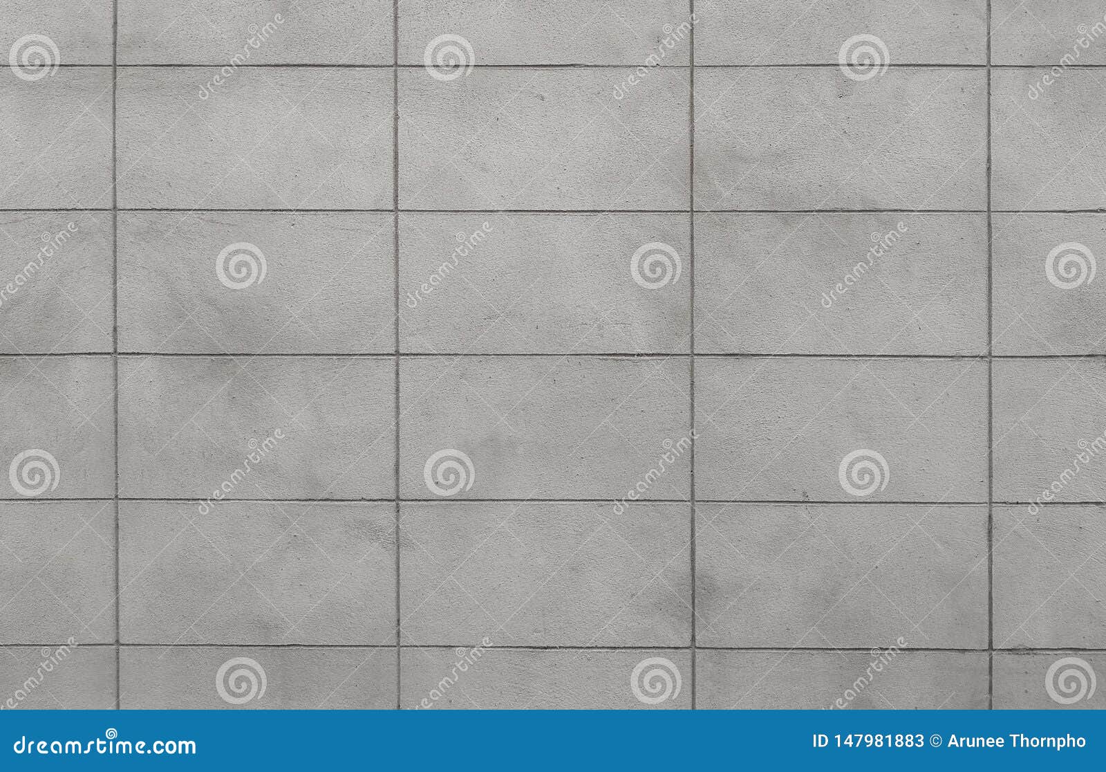 The Lighter Grey Color of Rough Texture Concrete Wall Skin with Grid ...