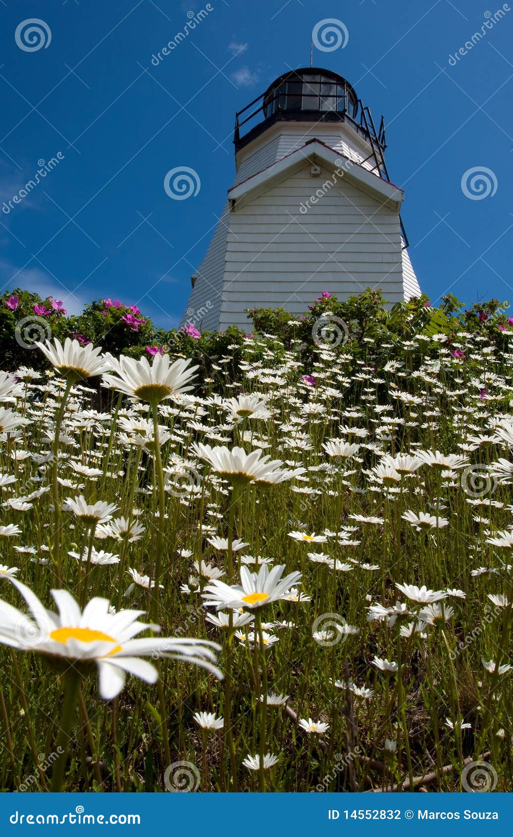 Lighthouse stock photo. Image of gardening, field, flashlight - 14552832