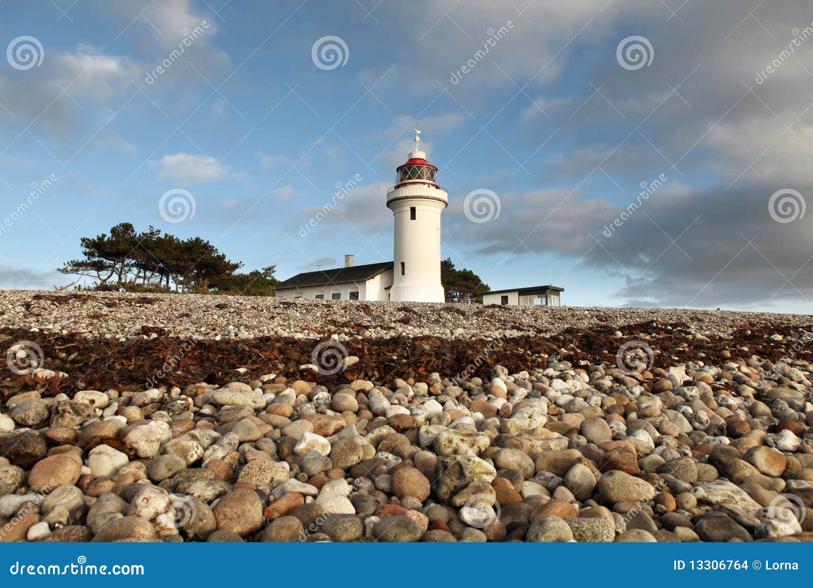 Lighthouse beach coast stock photo. Image of coast, seaside - 13306764