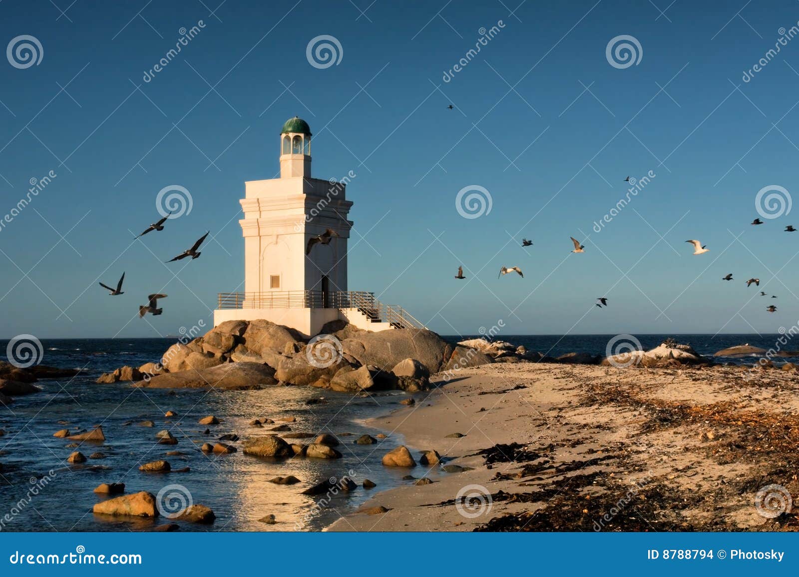 Lighthouse and birds stock photo. Image of construction - 8788794