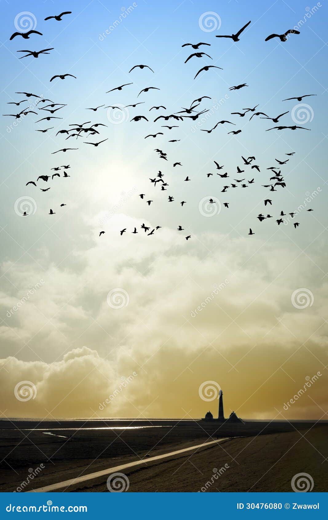Lighthouse with birds stock photo. Image of colour, seagull - 30476080