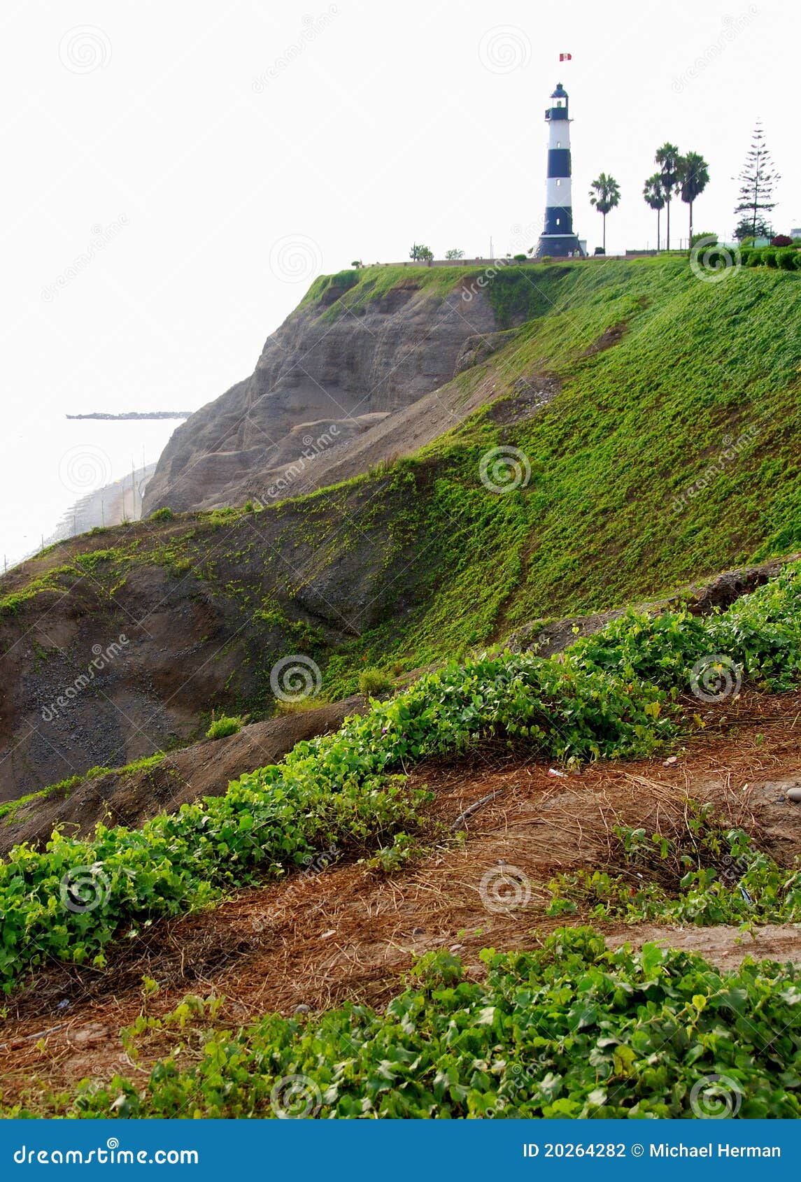 Lighthouse on cliff top stock photo. Image of trees, green - 20264282