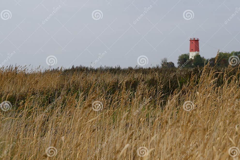Lighthouse on the coast stock image. Image of landmark - 10788269