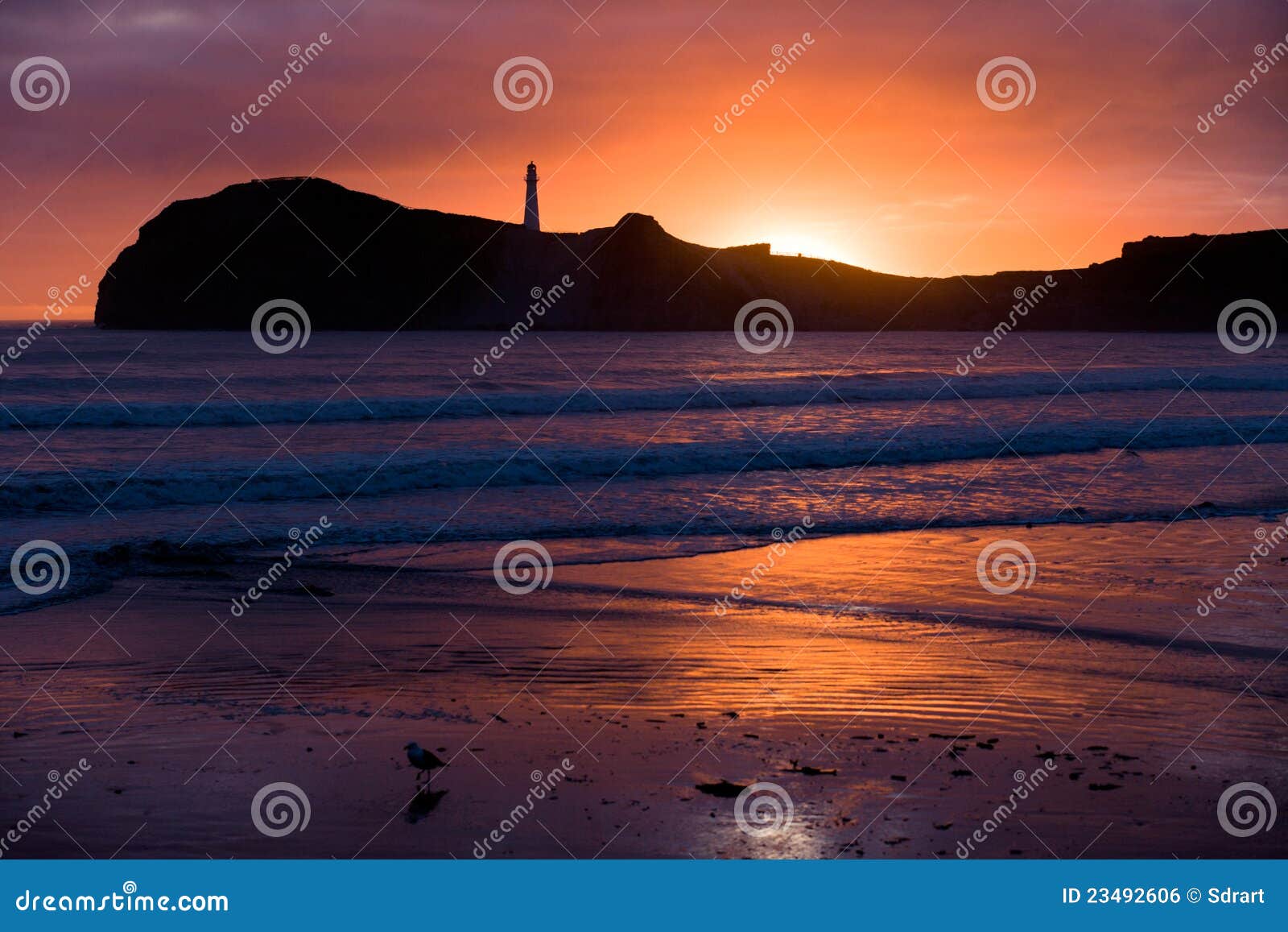 Lighthouse at dawn stock photo. Image of zealand, blue - 23492606