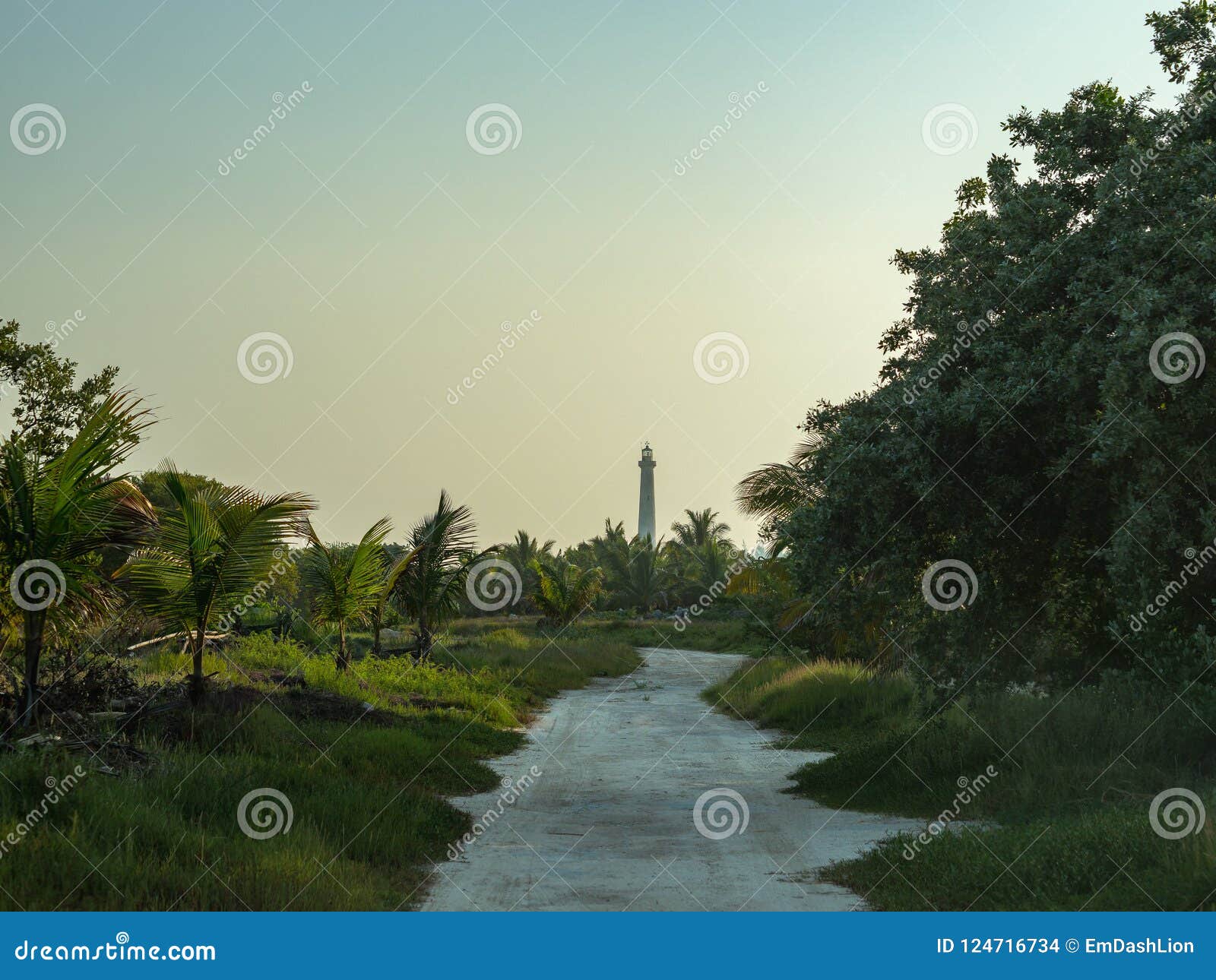 Lighthouse at the End of a Dirt Road in the Mexican Jungle Stock Photo ...