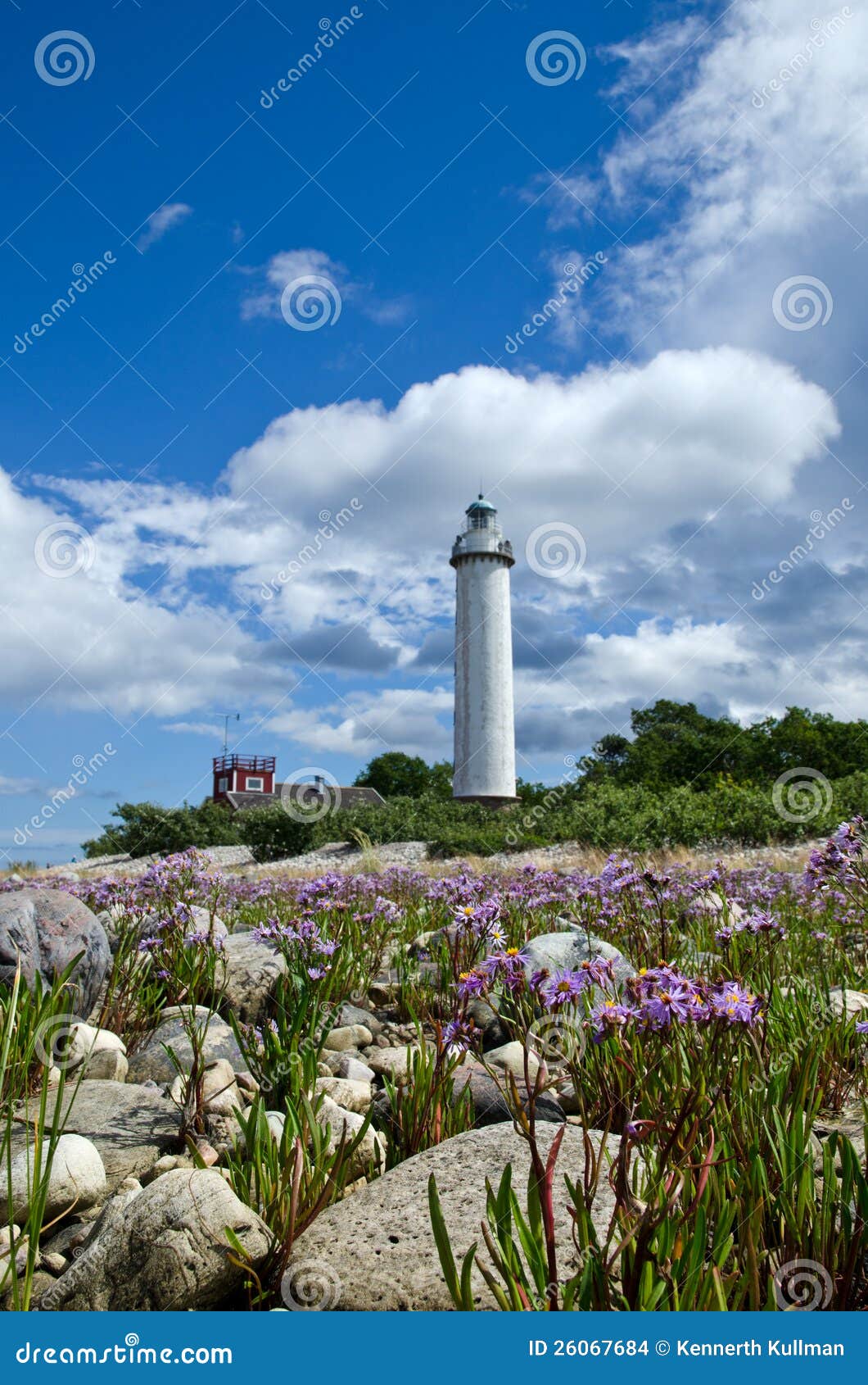 Lighthouse with Flowers in Foreground Stock Photo - Image of clear ...