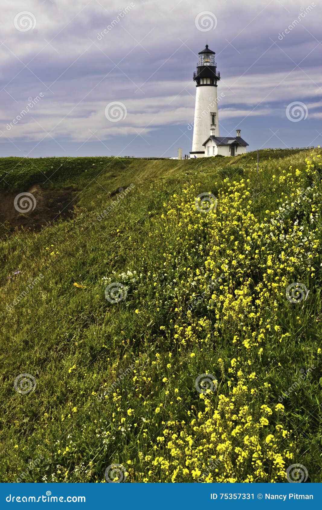Lighthouse and flowers stock image. Image of lamp, keeper - 75357331