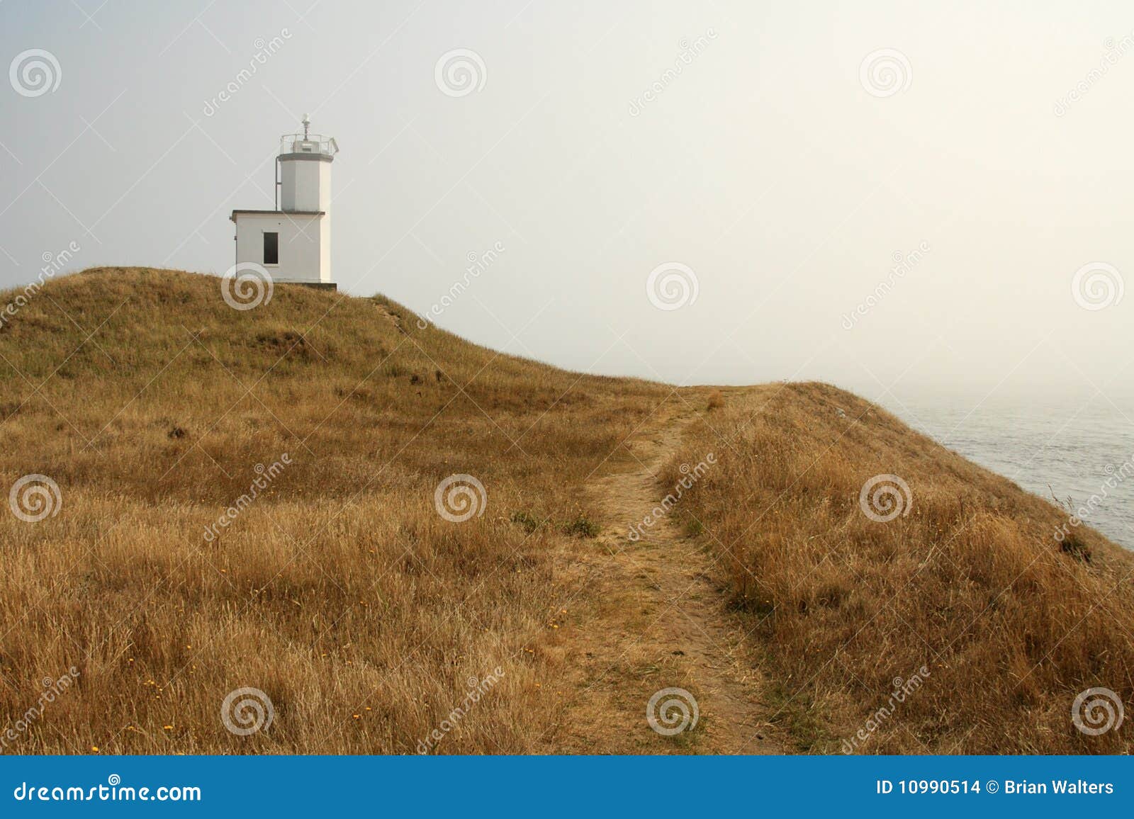 Lighthouse on Hill stock photo. Image of wheat, grass - 10990514