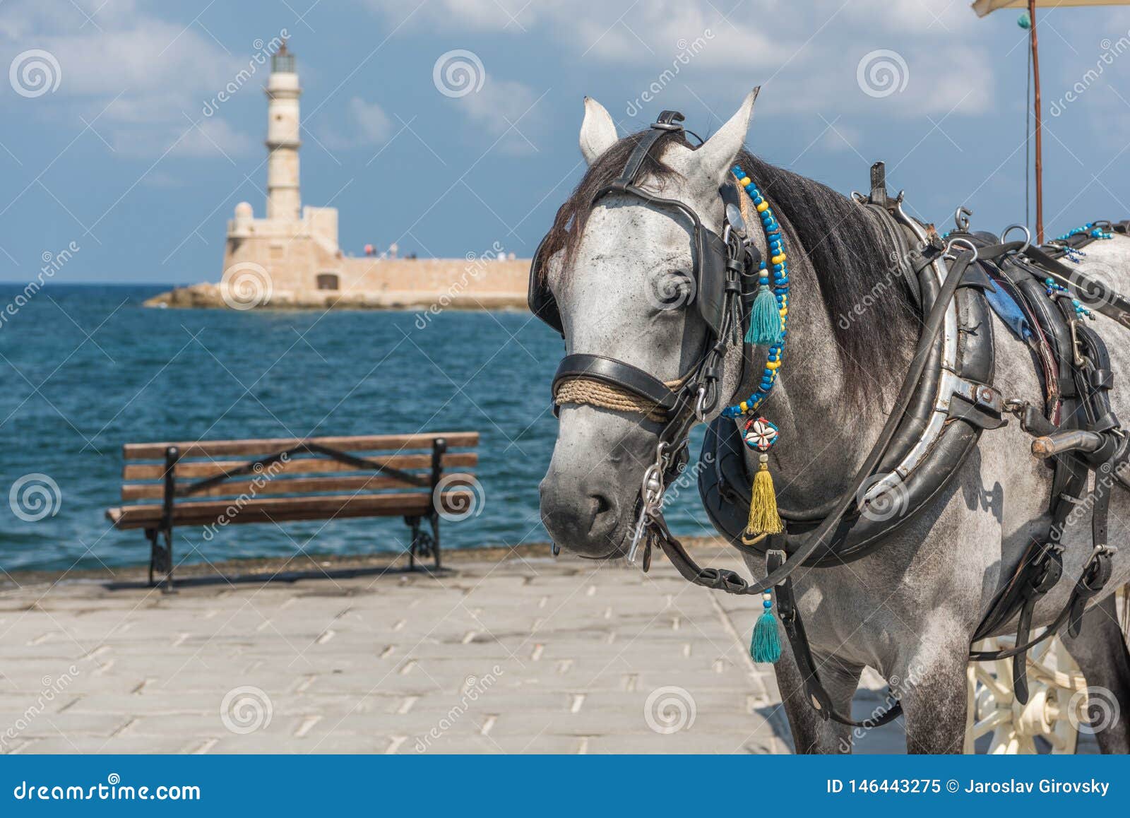 Lighthouse and horse stock image. Image of summer, europe - 146443275