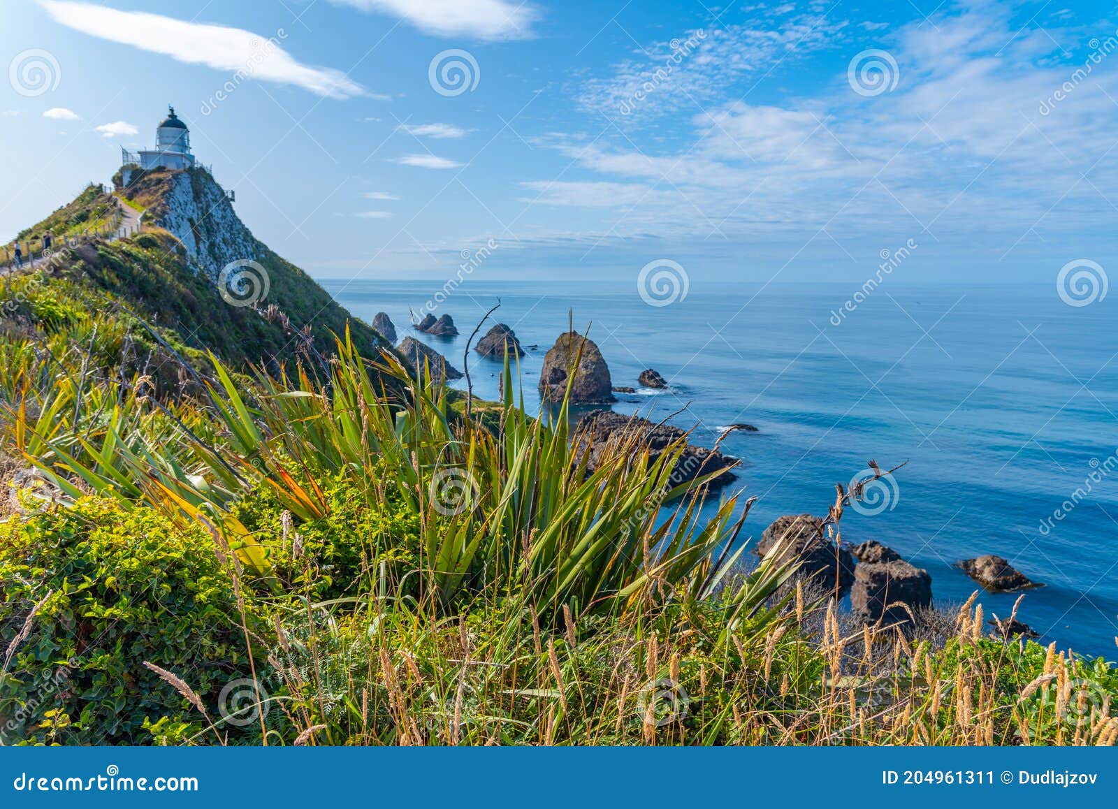 Lighthouse at Nugget Point in New Zealand Stock Image - Image of aerial ...
