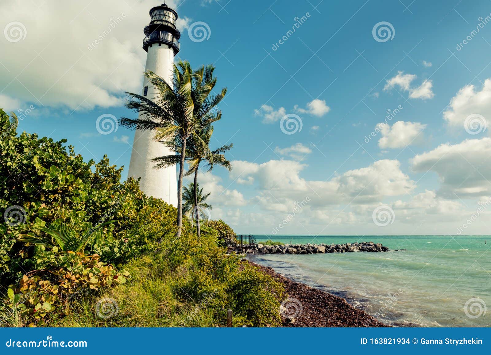 Lighthouse on the Ocean among Tropical Plants. Stock Photo - Image of ...