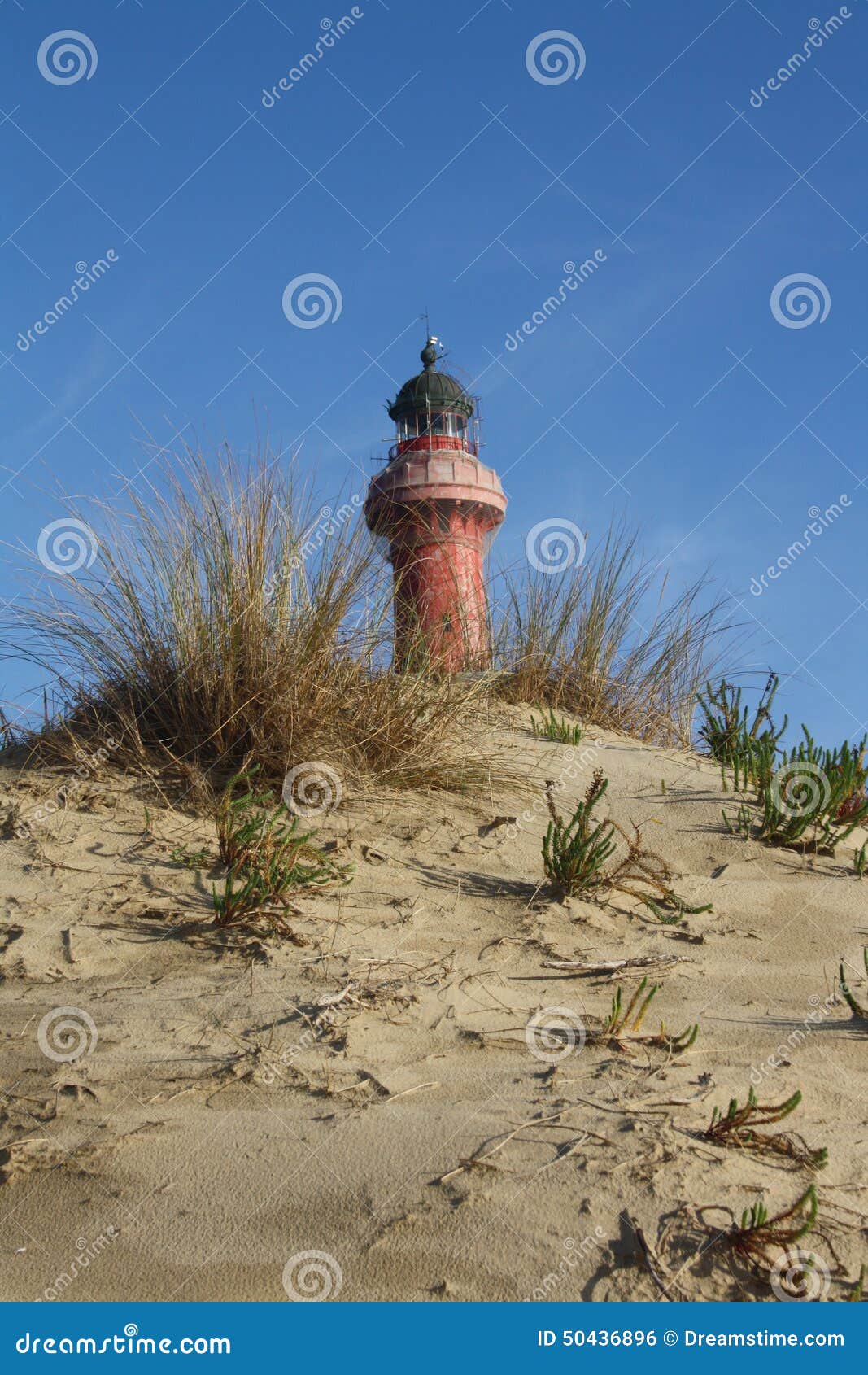 Lighthouse stock photo. Image of herbs, france, ocean - 50436896