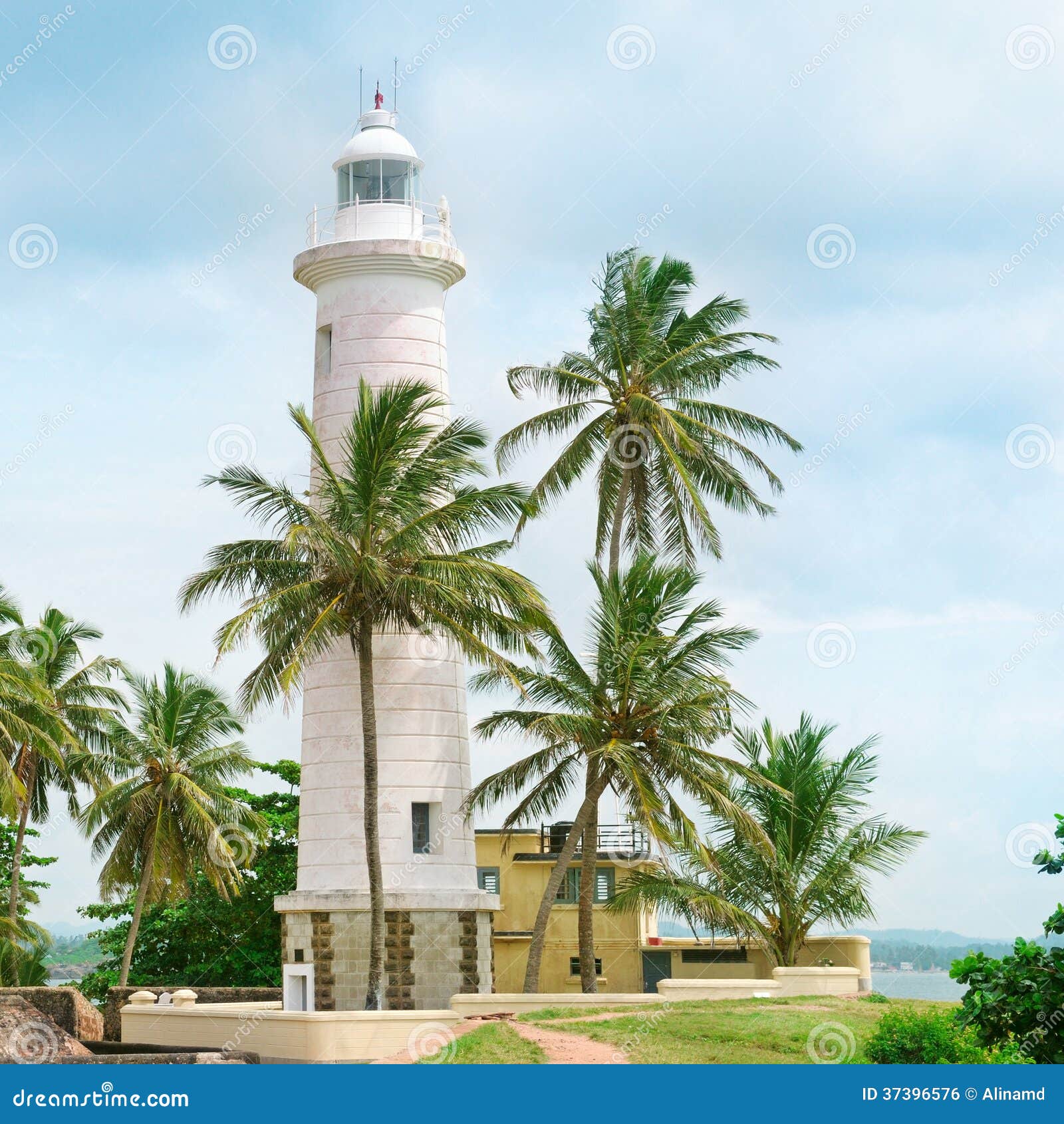 Lighthouse and palm trees stock photo. Image of exotic - 37396576