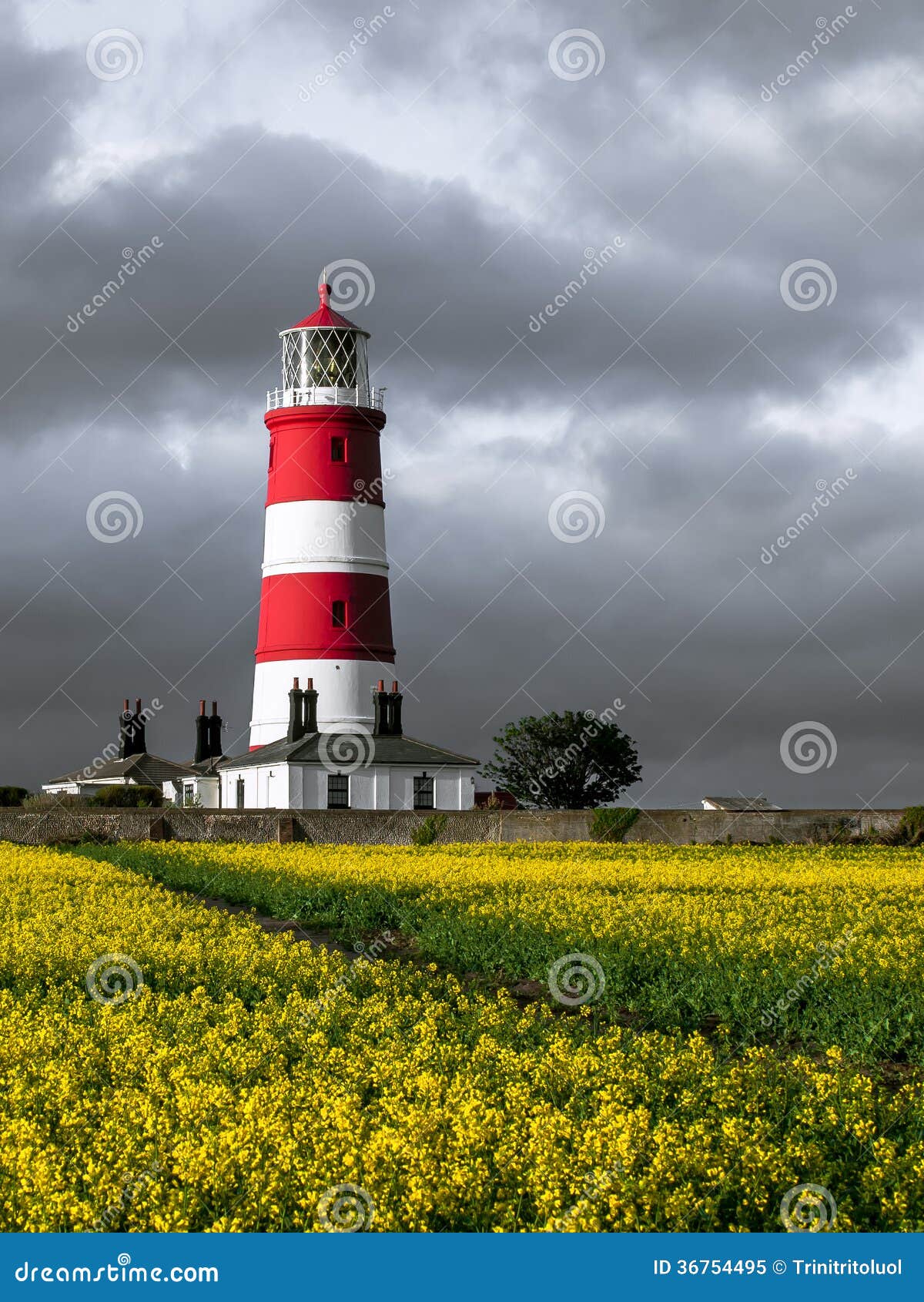 Lighthouse on field. stock image. Image of field, white - 36754495