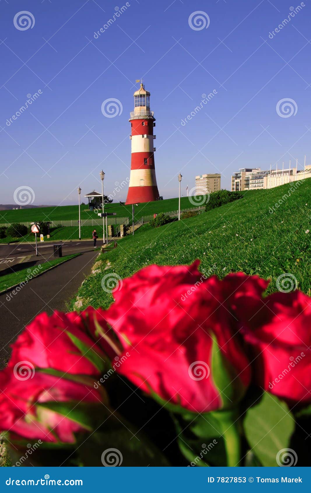 Lighthouse with Roses in Plymouth, UK Stock Image - Image of coastline ...