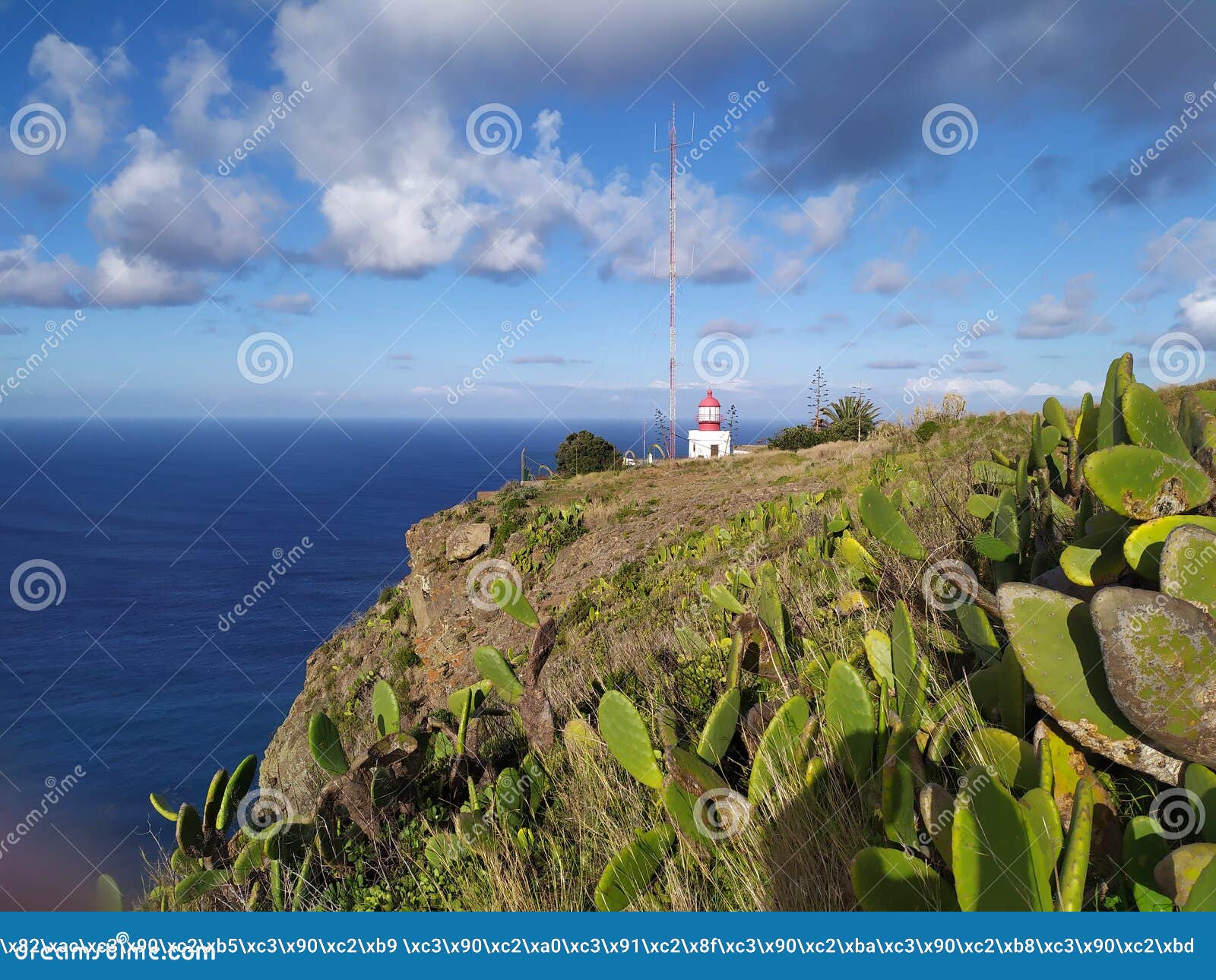 Lighthouse on Madeira stock image. Image of israel, lisbon - 212009735