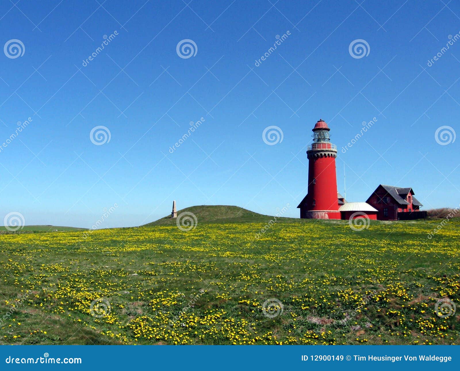 Lighthouse in the Spring Time Stock Image - Image of bovbjerg, flower ...