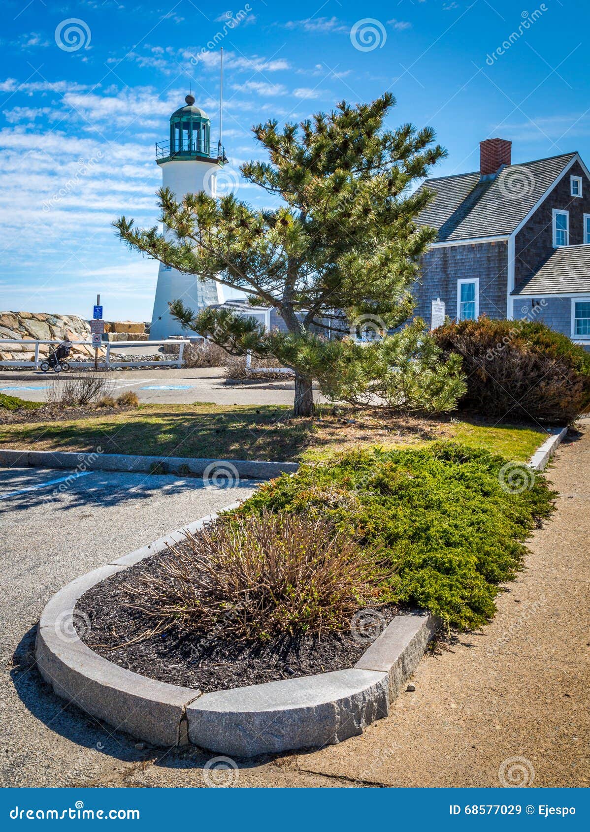 Lighthouse Tree stock image. Image of tree, proud, scituate - 68577029