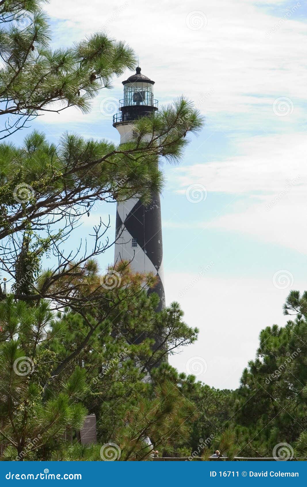 Lighthouse through the Trees Stock Image - Image of tree, historic: 16711