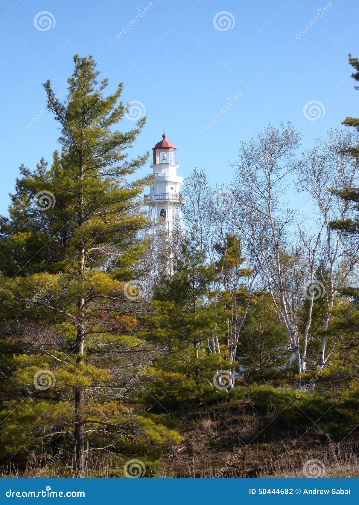 Lighthouse in the trees stock photo. Image of trees, forest - 50444682