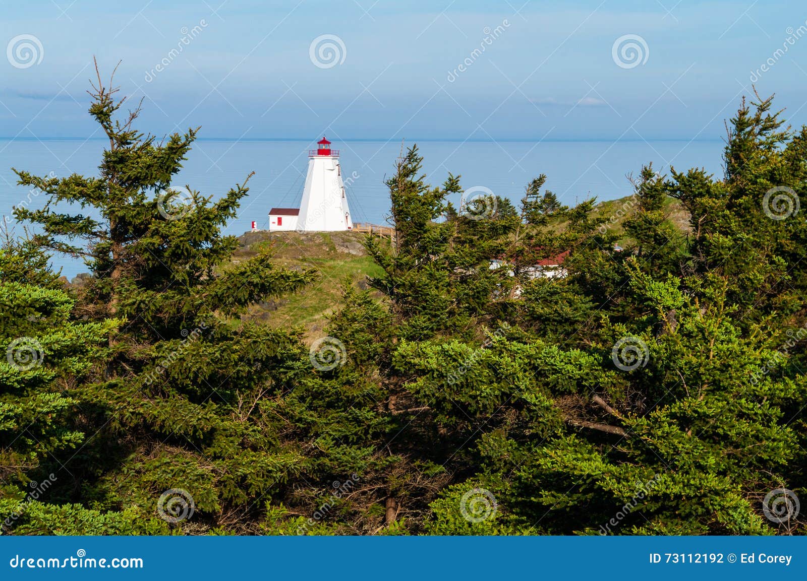 Lighthouse through the Trees Stock Photo - Image of light, rock: 73112192