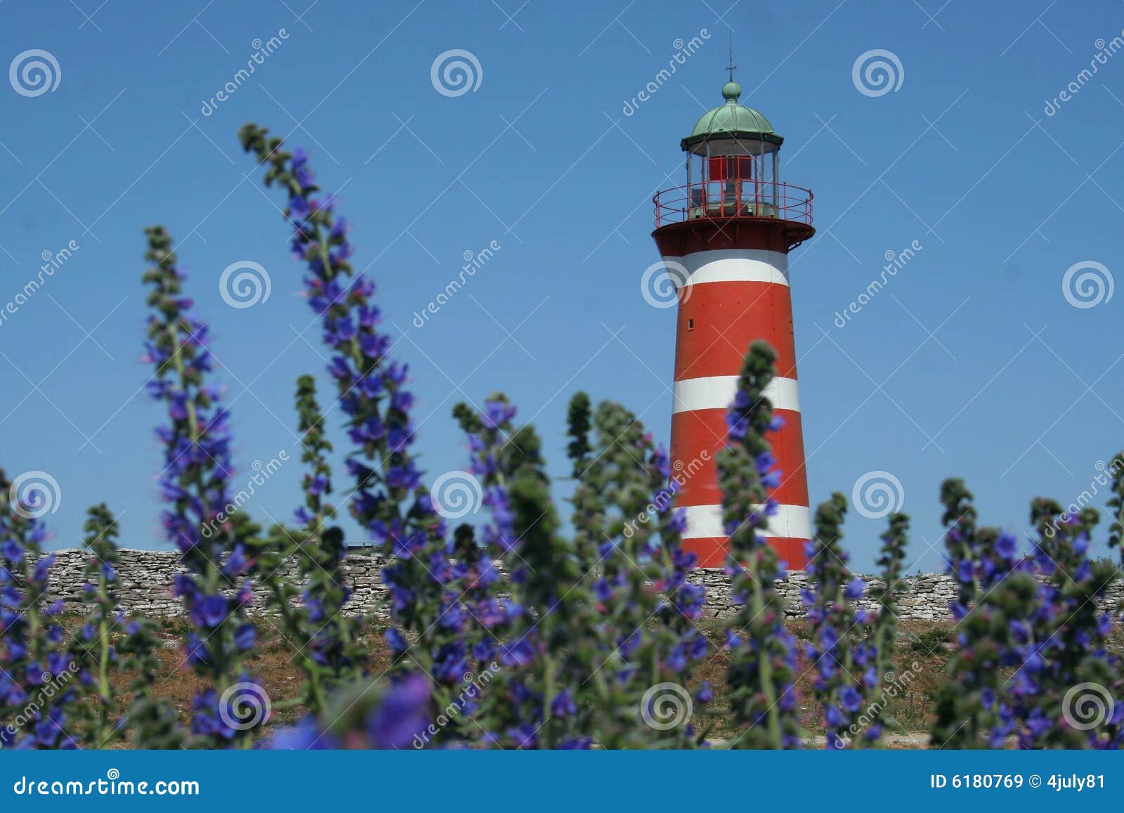 Lighthouse with Violet Flowers Stock Image - Image of beautiful ...