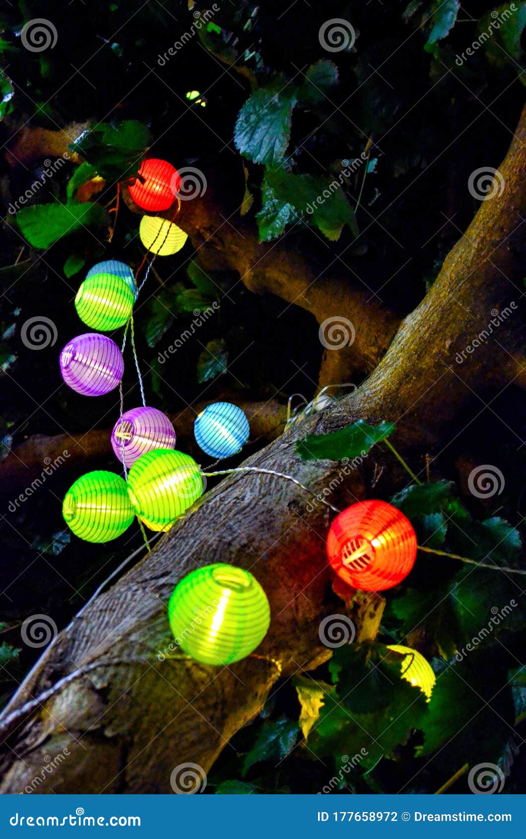 Lighting Balls on Tree in the Night Stock Photo - Image of celebration ...
