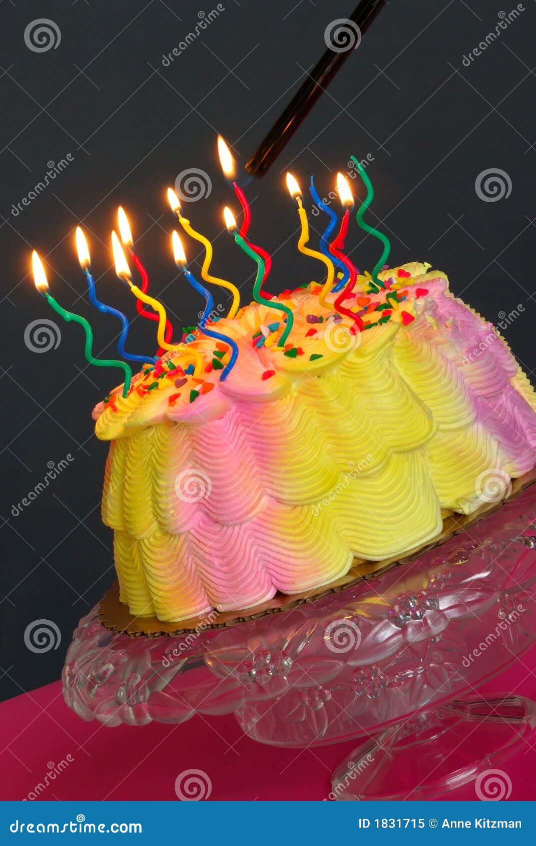Lighting the Birthday Cake stock image. Image of gala - 1831715