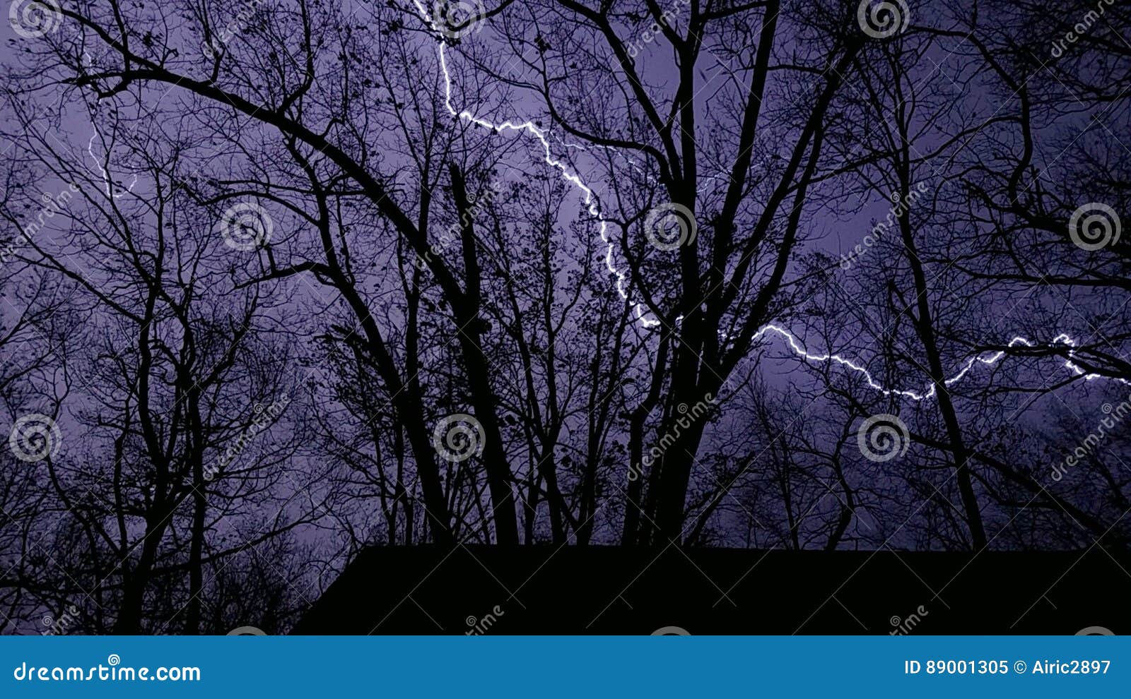 Lighting Bolt through the Trees Stock Image - Image of massive ...