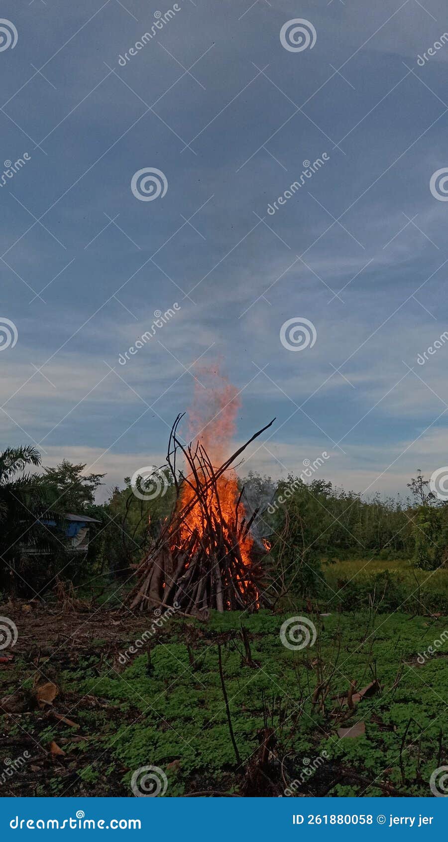Lighting a Bonfire in the Evening in the Garden Stock Photo - Image of ...