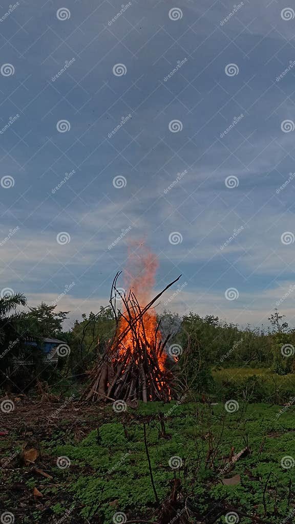 Lighting a Bonfire in the Evening in the Garden Stock Photo - Image of ...