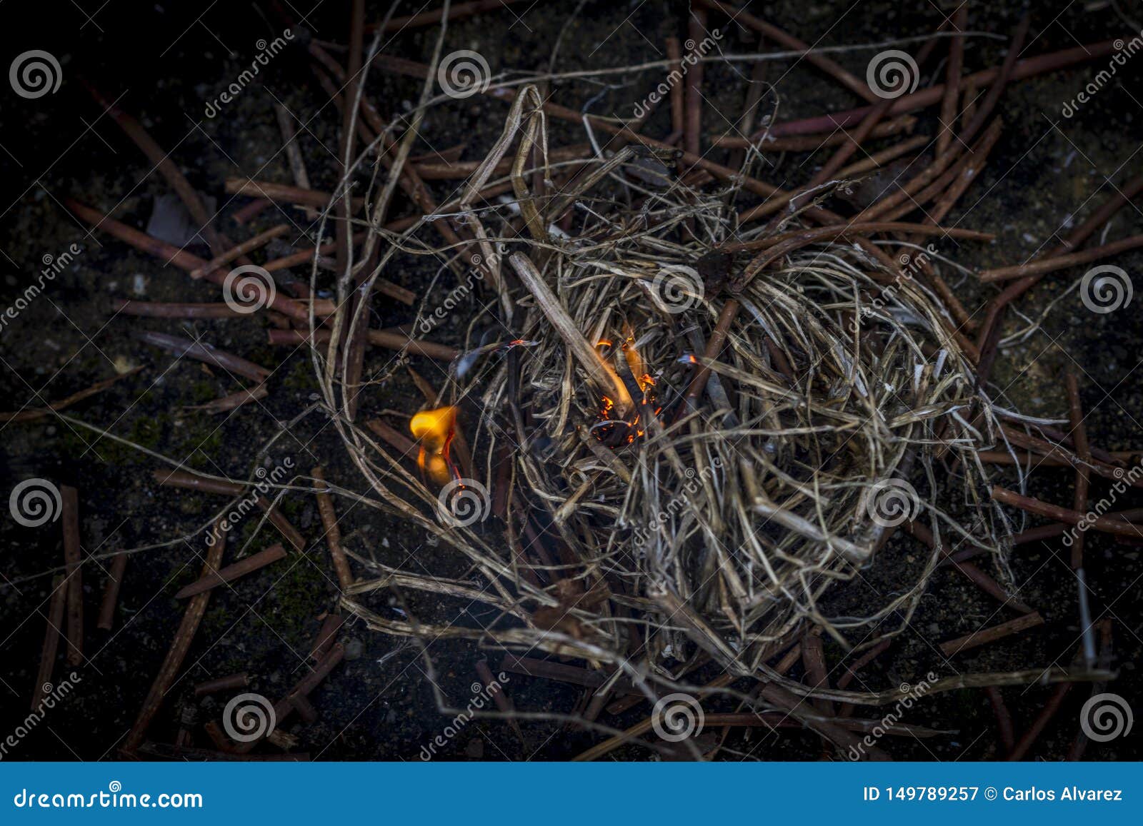 Lighting a bonfire stock image. Image of happy, cheerful - 149789257