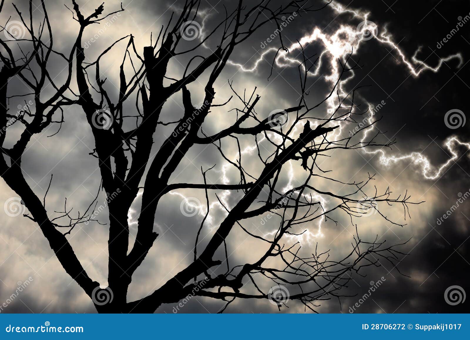 Lighting and died tree stock photo. Image of danger, climate - 28706272