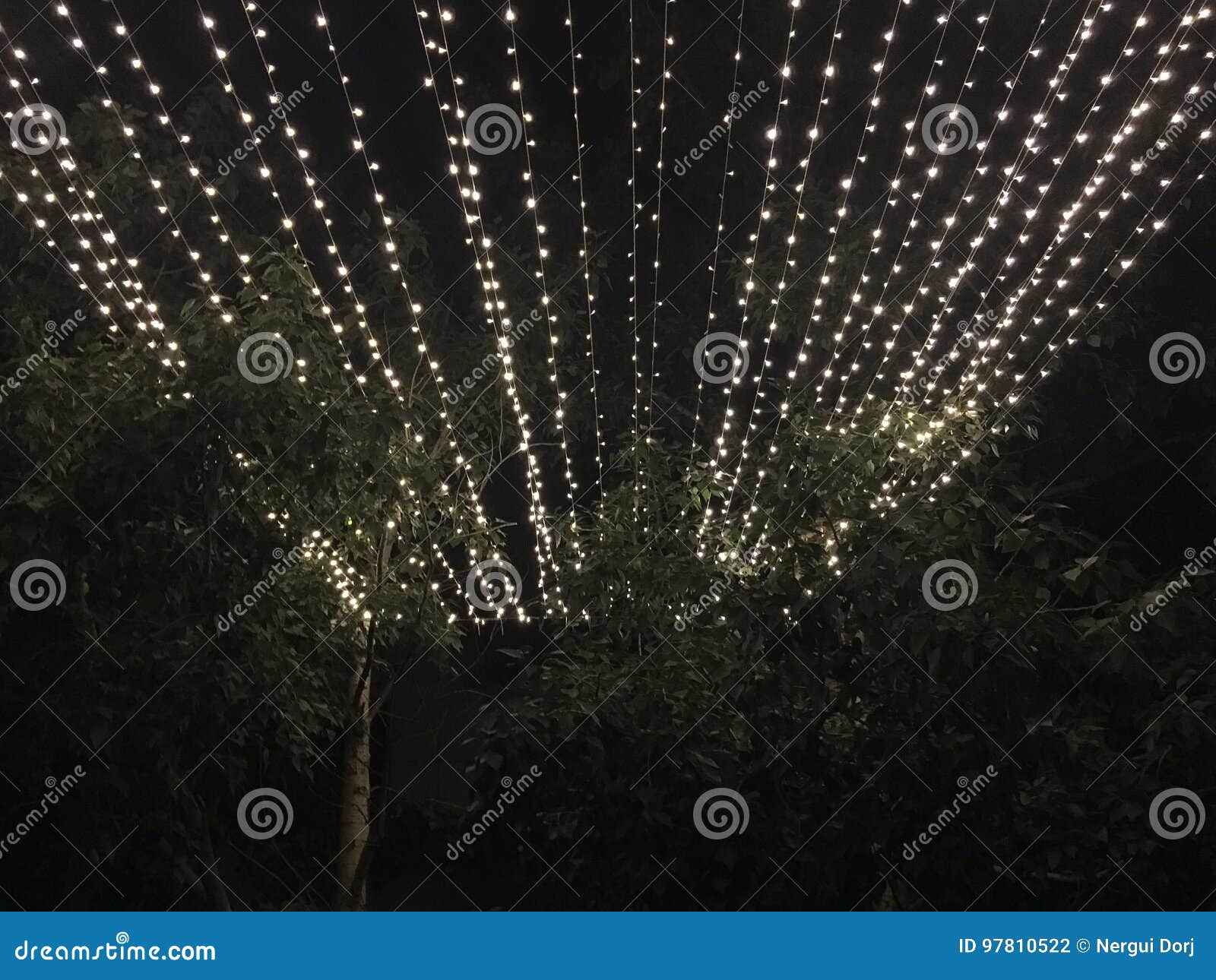 Lighting at Night Over Trees Stock Photo - Image of shine, city: 97810522