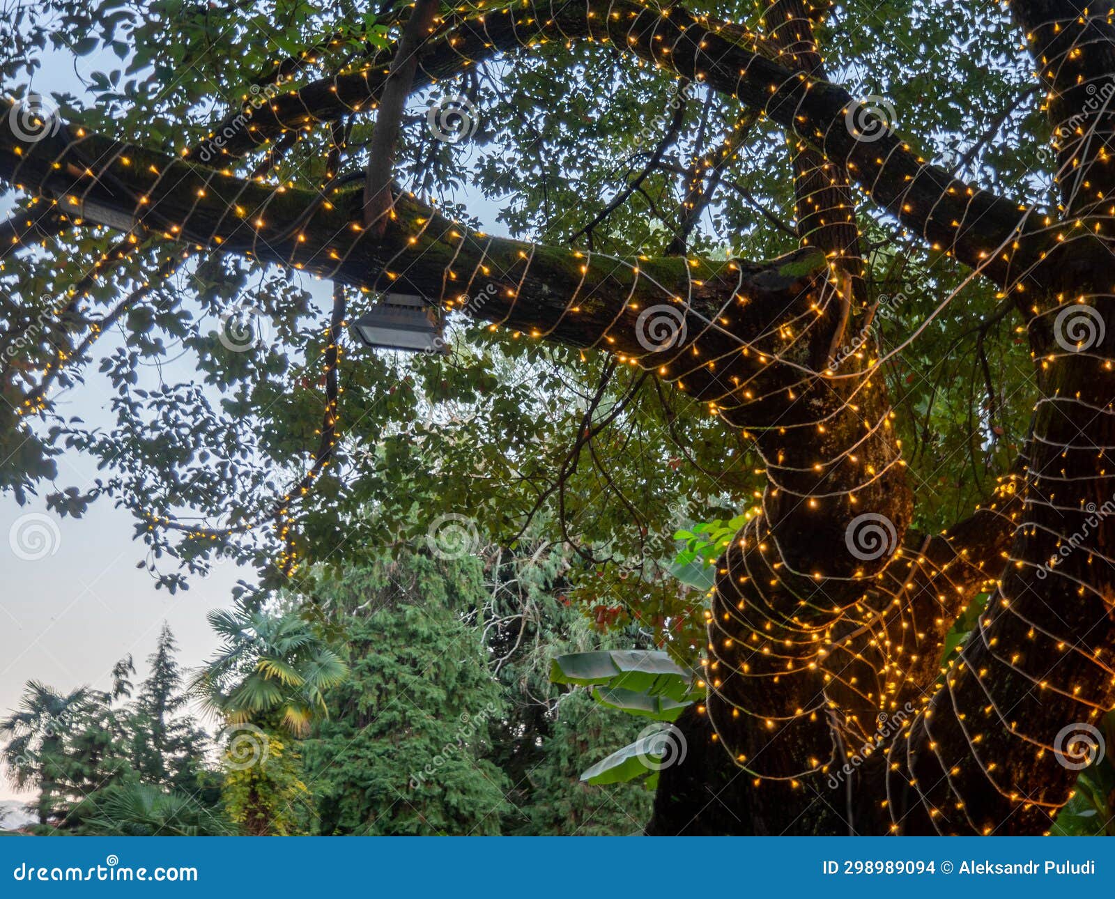 Lighting in the Park. Evening Park. Lighting Fixture on a Tree Stock ...
