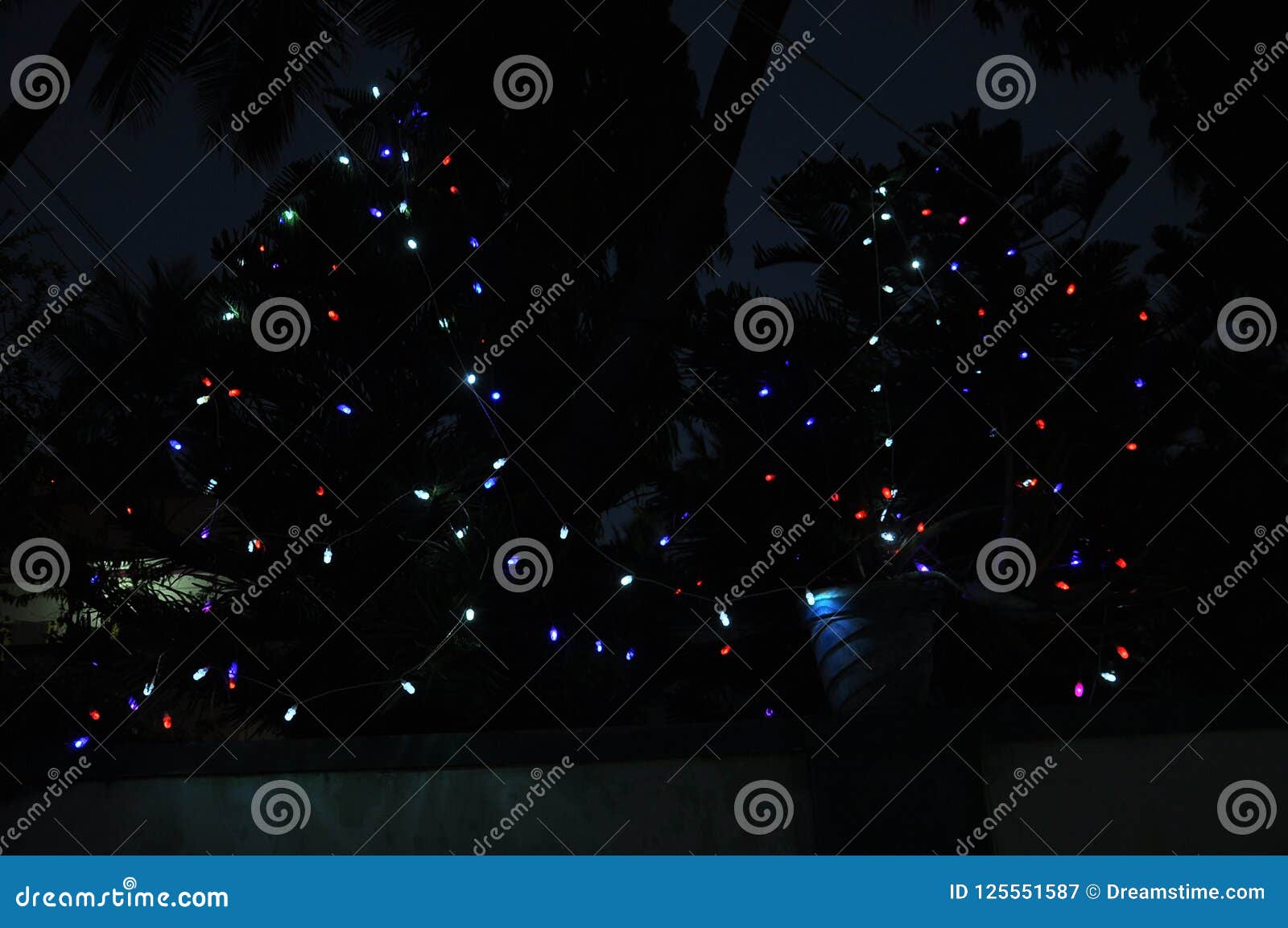 Lighting tree stock image. Image of tress, tree, lighting - 125551587