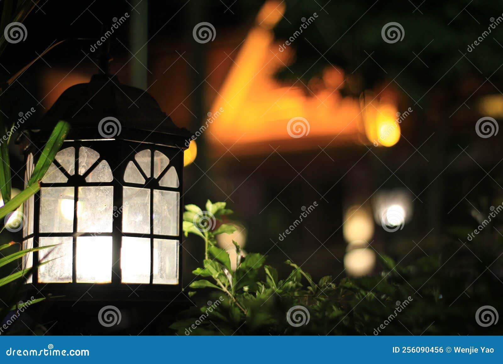 Little Light in the corner stock photo. Image of plant - 256090456