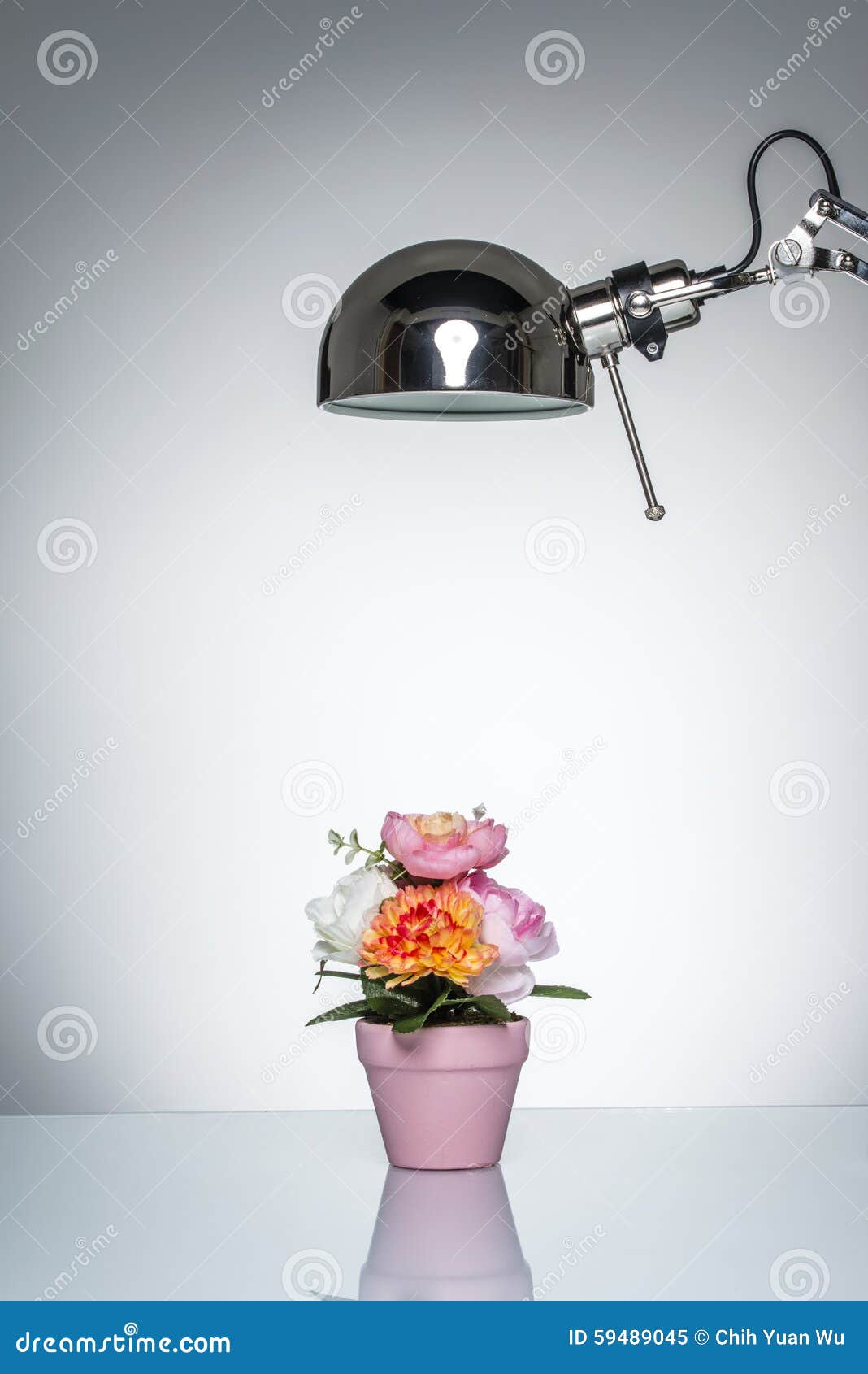 Lighting Up Pink Flower Pot with Desk Lamp Stock Image - Image of ...