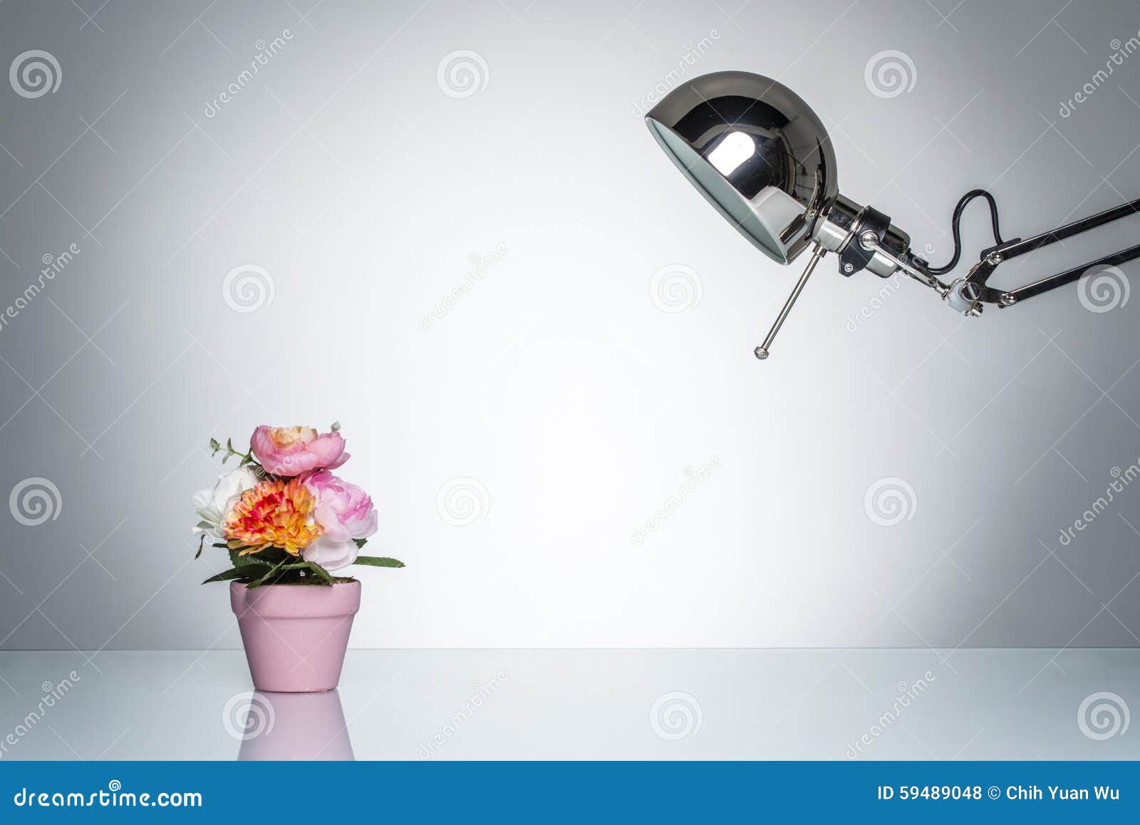 Lighting Up Pink Flower Pot with Desk Lamp Stock Photo - Image of copy ...