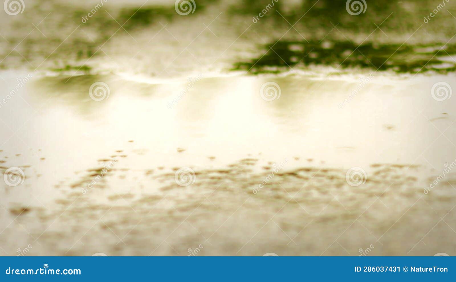 Lightly Dripping Rain Forming Circles on a Puddle of Water Stock Video ...