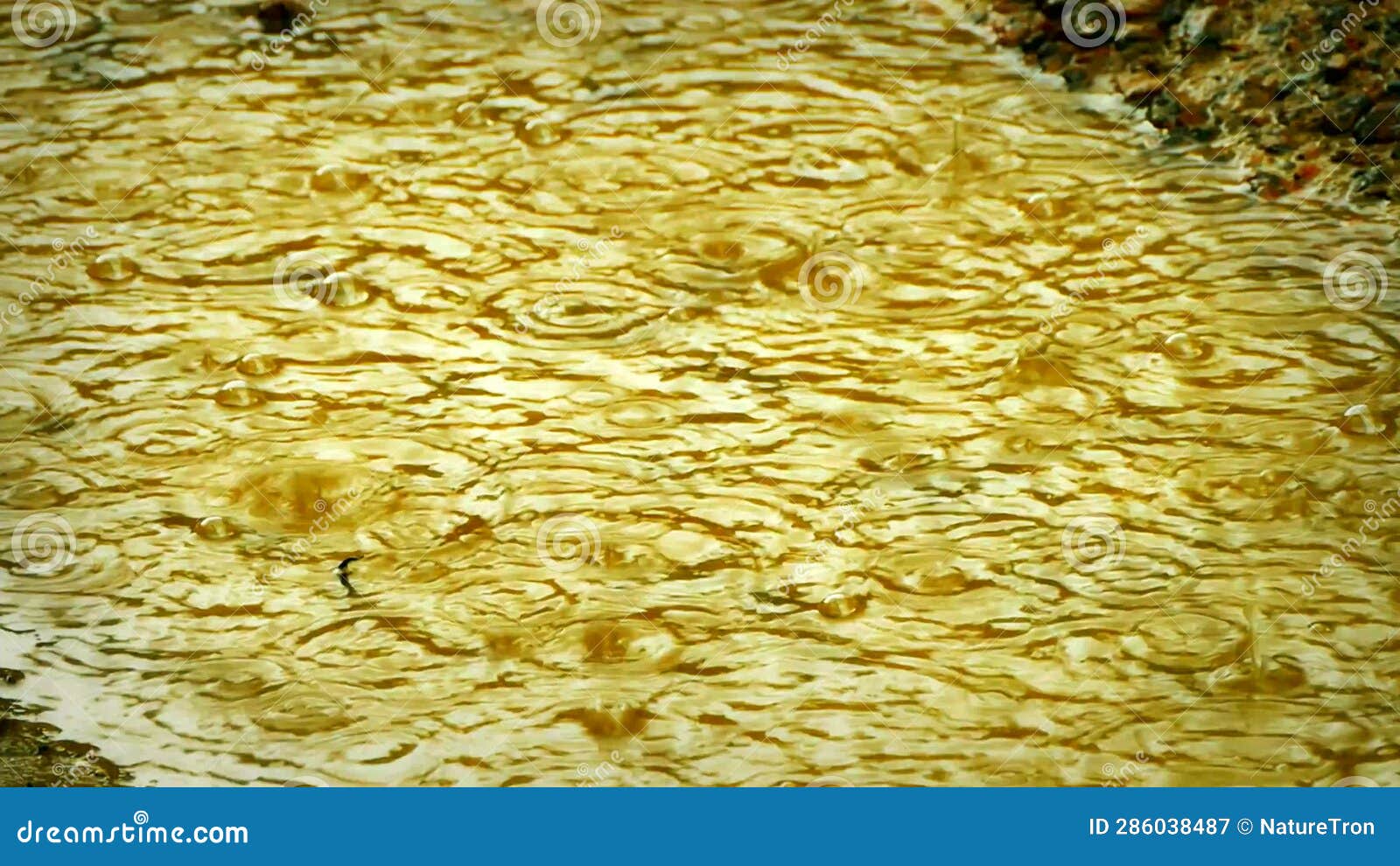 Lightly Dripping Rain Forming Circles on a Puddle of Water. Slowmotion ...