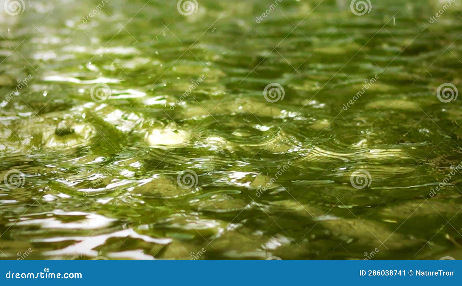 Lightly Dripping Rain Forming Circles on a Puddle of Water. Slowmotion ...