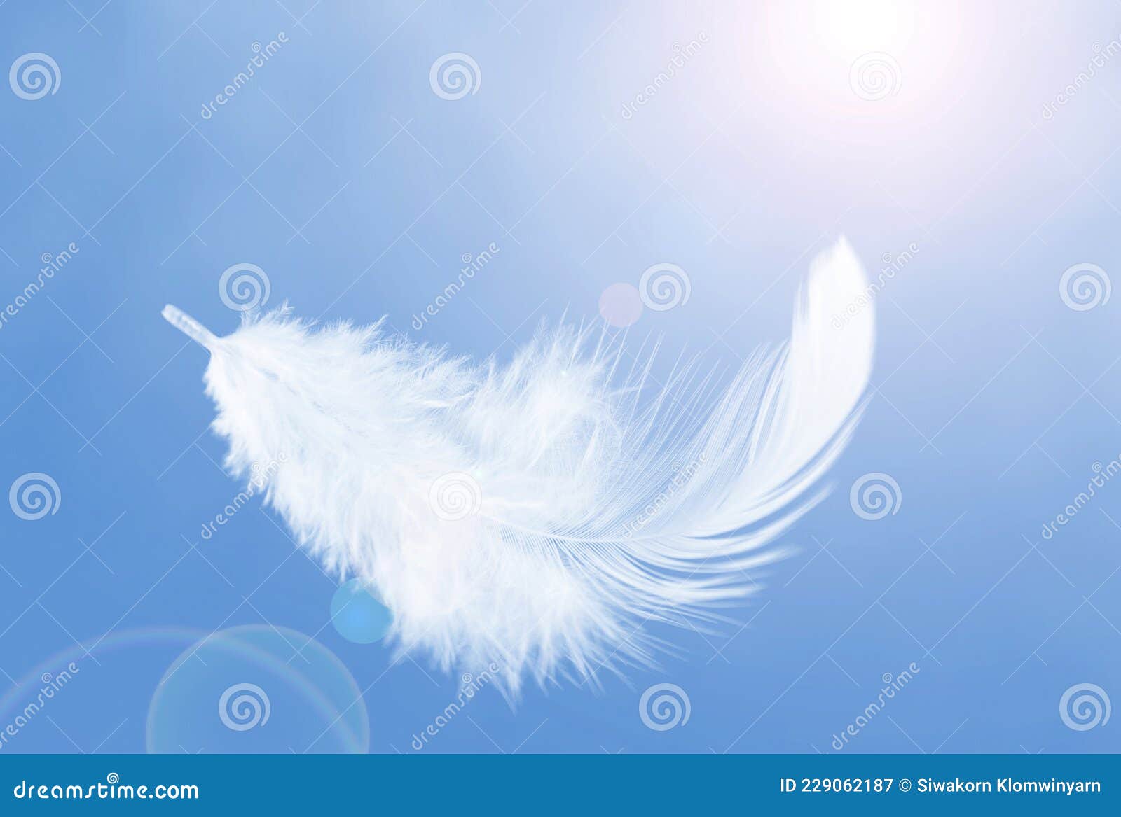 Lightly of White Fluffy Feather Floating in the Sky. Abstract Feather ...