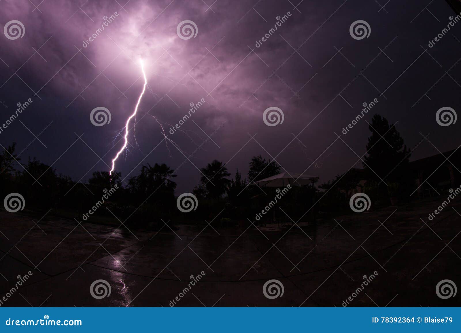 Lightning Bolt Behind Trees Stock Photo - Image of towering, bolt: 78392364