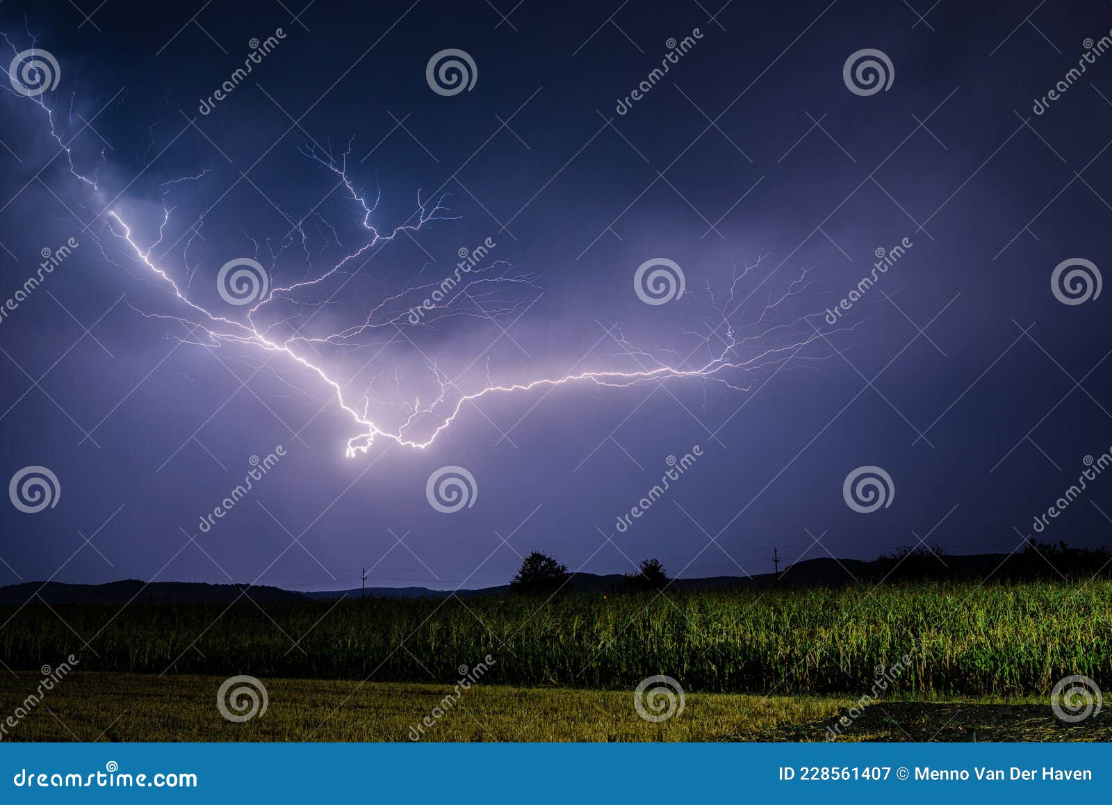 Branched Anvil Crawler Lightning Over a Corn Field Stock Image - Image ...