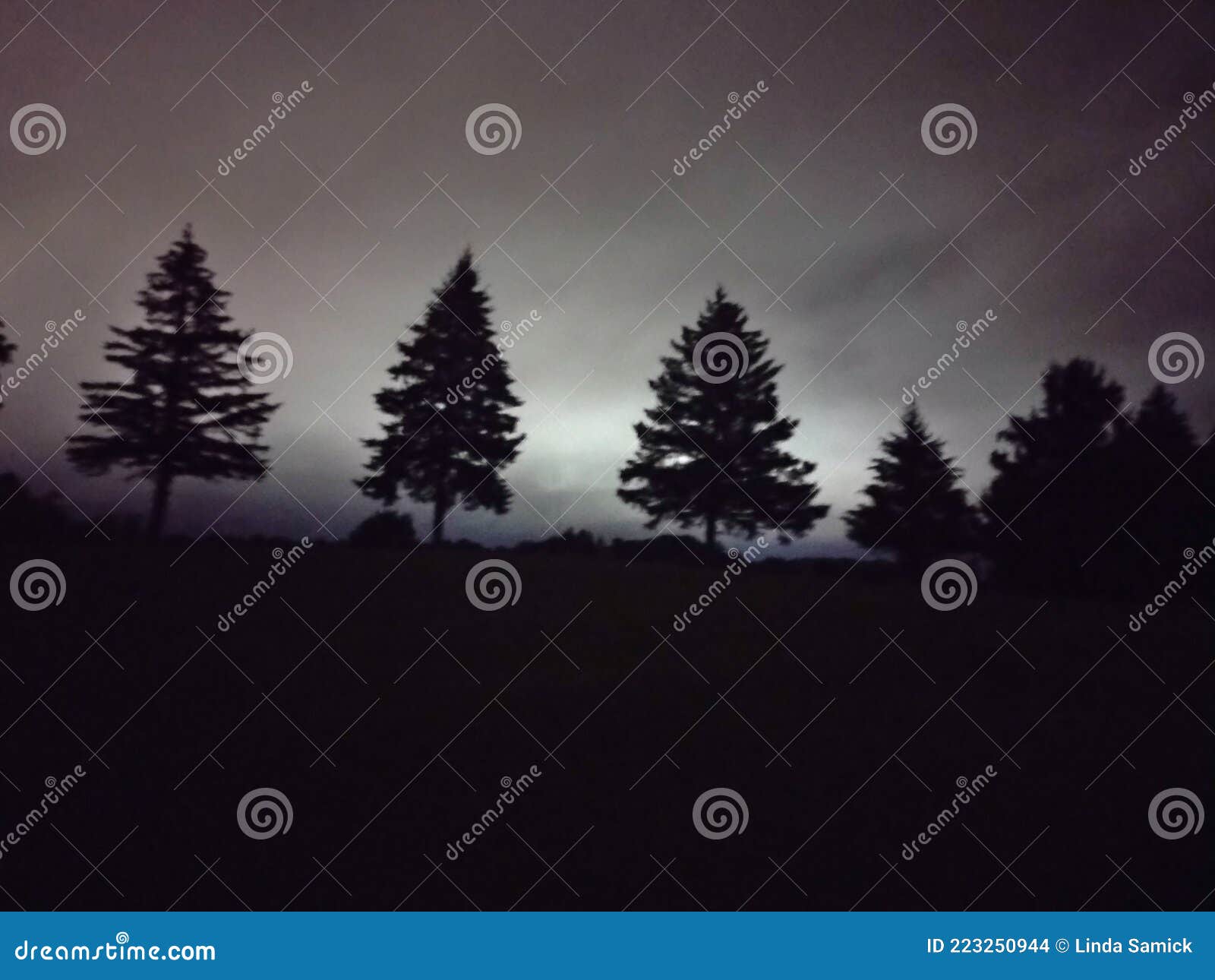 Lightning at the Golf Course Stock Photo - Image of tree, moonlight ...
